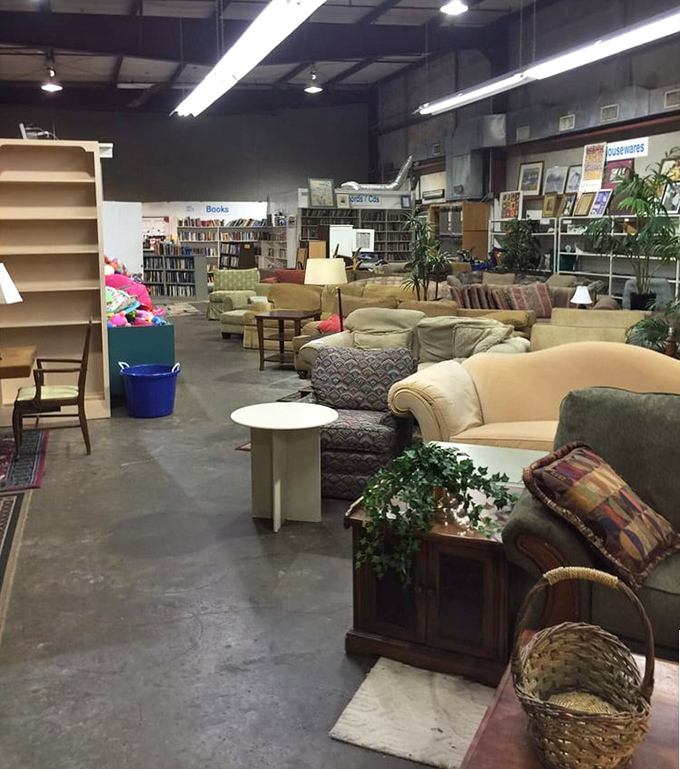 A thrifter's dream: comfy couches waiting for their second act. Books in the background whisper stories of their previous owners.