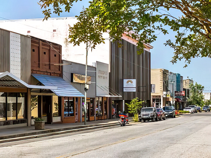 Southern charm flows through these historic blocks like sweet tea on a summer afternoon.