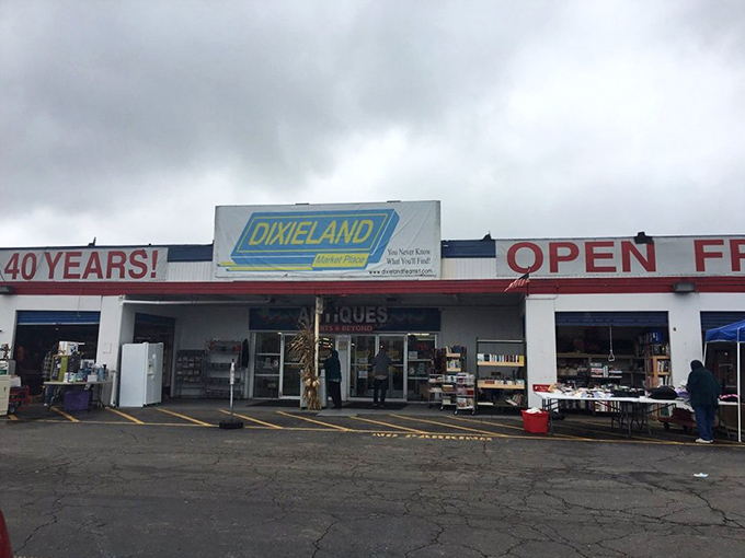 Inside Dixieland, the "over 40 years" banner isn't just marketing&mdash;it's a testament to generations of treasure hunters who've walked these aisles.