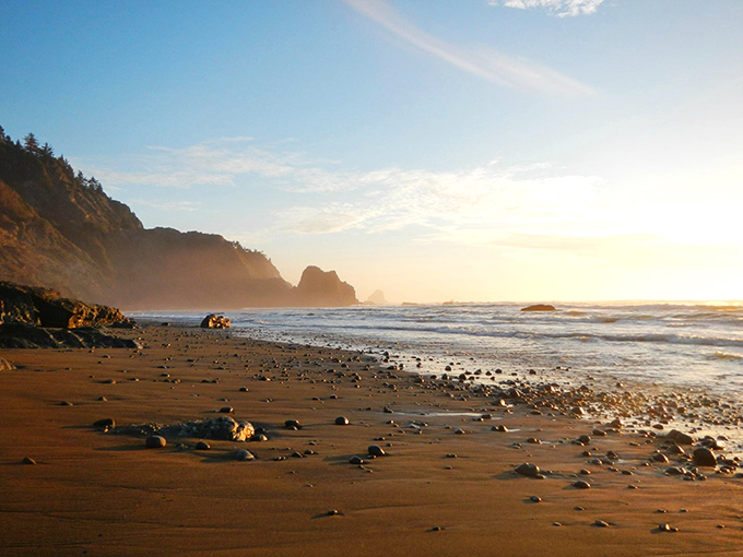 Golden hour at Enderts Beach paints the landscape in warm hues. Where the redwoods meet the sea in perfect harmony.