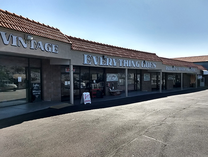The curved architecture hints at the surprising variety waiting inside this Phoenix treasure trove of vintage delights and memories.