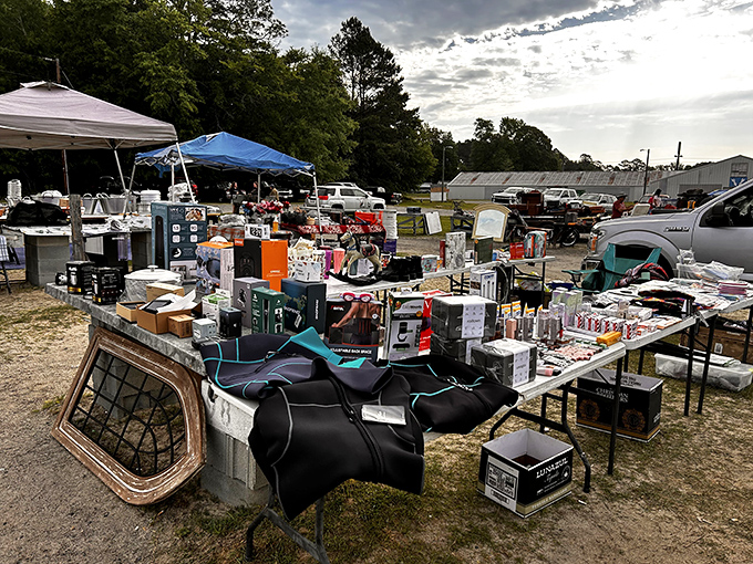The organized chaos of outdoor vendor spaces creates that authentic flea market energy that keeps collectors coming back.
