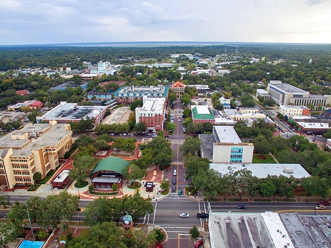 The Swamp, as locals call it, represents Gainesville's perfect blend&mdash;university town energy with retirement-friendly living costs.