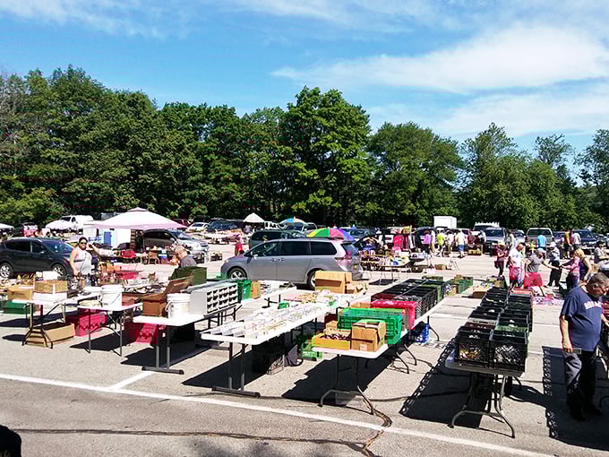 Democracy in action at Grafton – everyone from collectors to casual browsers finds their perfect parking-lot paradise.