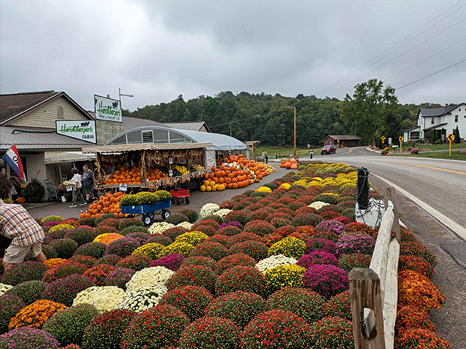 Those colorful mums create a fall display that would make Martha Stewart take notes.