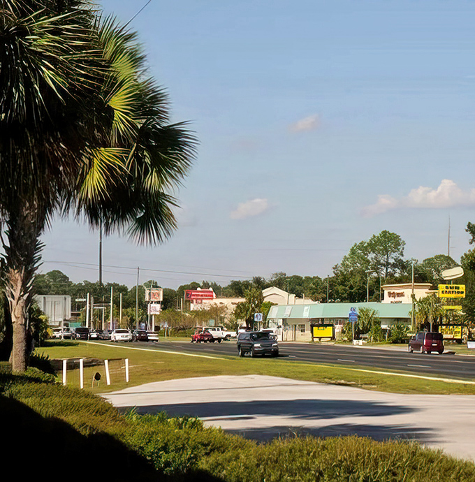 Homosassa Springs: A town built for people who appreciate brick buildings and American flags. Rush hour means three cars at the stoplight.