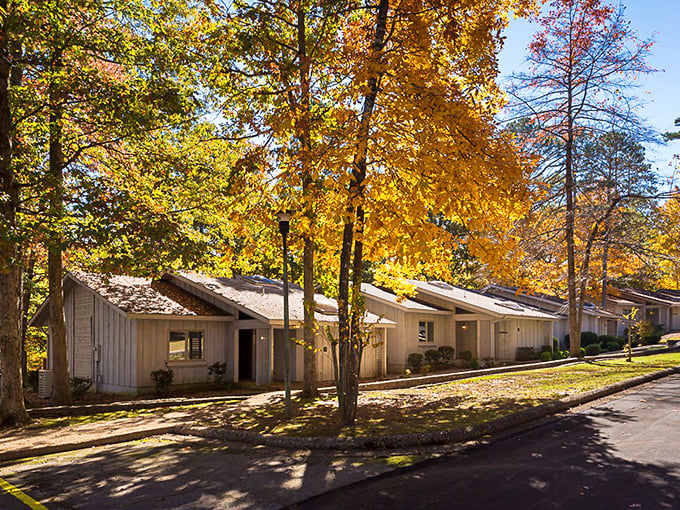 Tree-lined streets that whisper "slow down and enjoy the good life" to everyone.