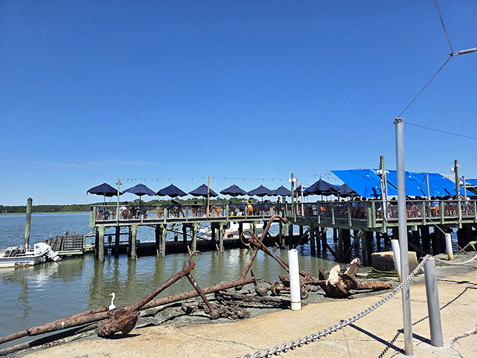 Blue umbrellas dot the dock like colorful exclamation points celebrating another perfect day on the water.