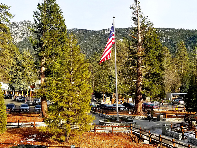 Pine-scented air and artistic spirit blend perfectly in this San Jacinto Mountains hideaway that feels like home.