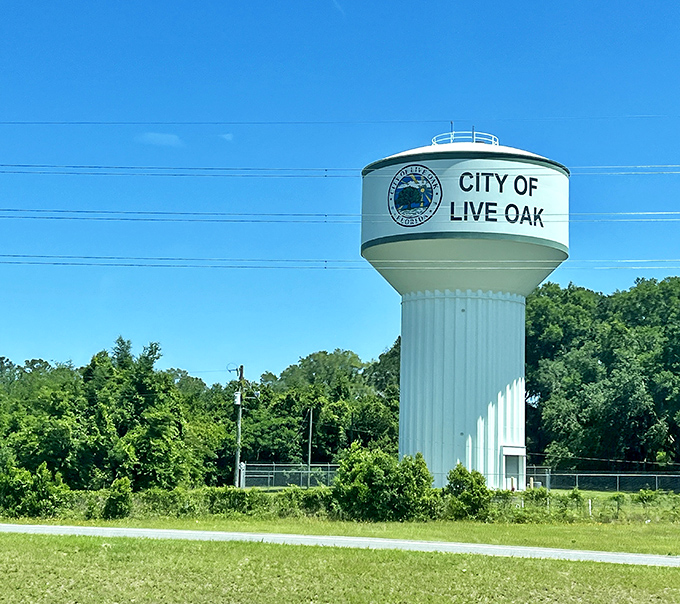 Live Oak's waterfront clock tower stands as a timeless sentinel. The perfect spot to watch the world go by without spending a dime.