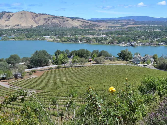 Vines with a view! Lower Lake's vineyard vistas prove California wine country living can be affordable &ndash; no Hollywood bankroll required.
