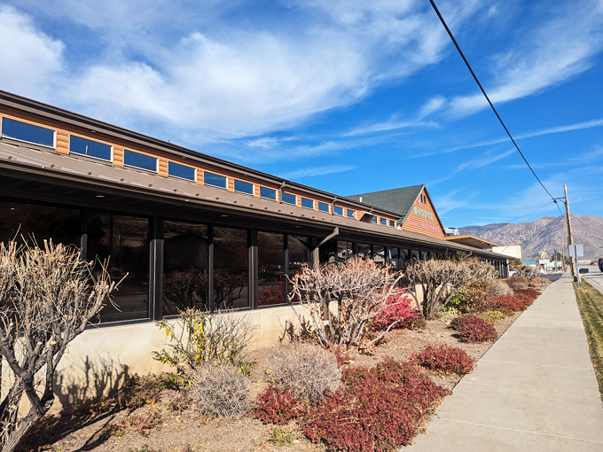 When mountain town magic combines with old-world craftsmanship, dinner becomes a genuine fairy tale experience.