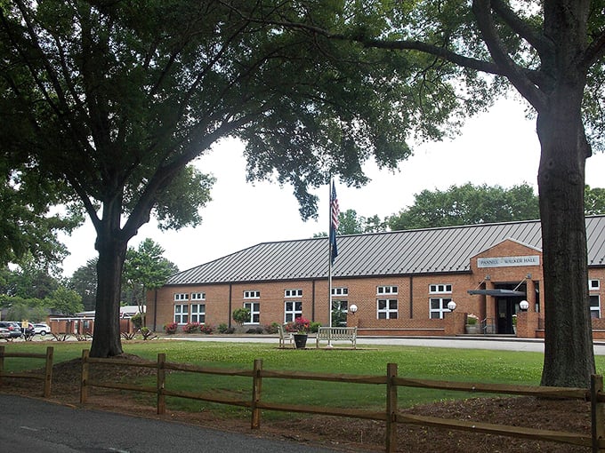 Under the shade of ancient trees, this welcoming building invites visitors to slow down.