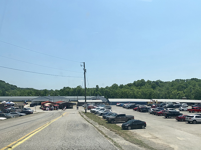 From the parking lot, you can already sense the adventures waiting inside this treasure-filled wonderland.