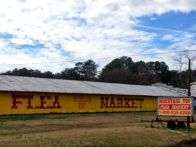 That classic yellow building with rustic charm houses countless treasures waiting for their next loving home.