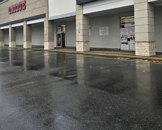 Spacious aisles and bright lighting transform bargain hunting into a pleasant, stress-free shopping experience here.