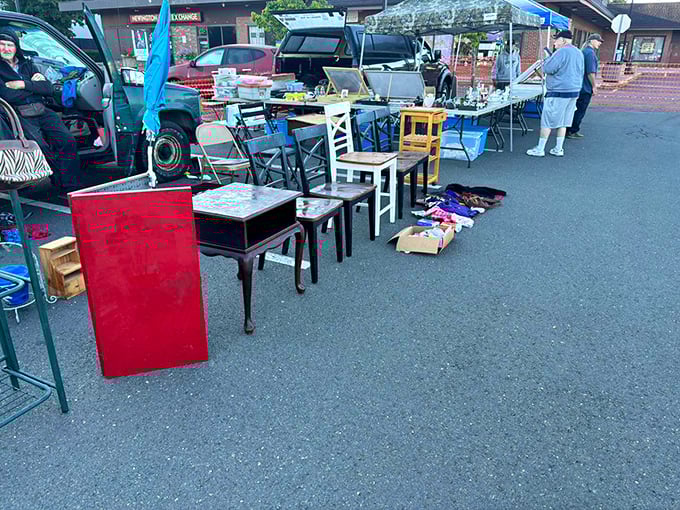 Smart vendors know presentation matters - these professional setups make browsing a pure pleasure experience.