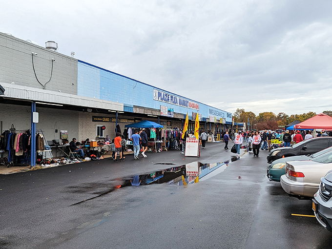 This bustling plaza transforms ordinary parking lots into treasure-filled wonderlands where patience pays off handsomely.