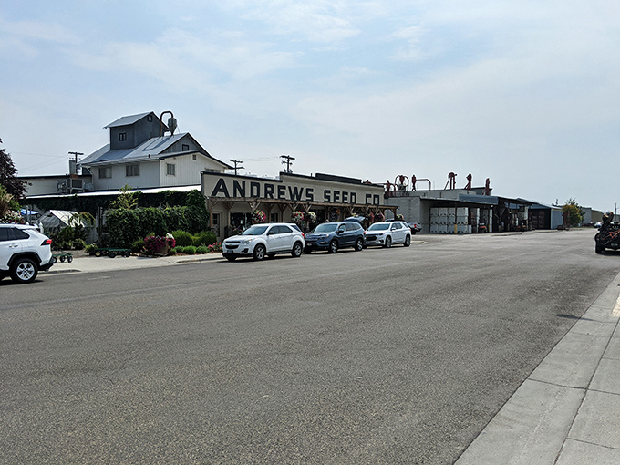 Andrews Seed Company stands as a testament to Ontario's agricultural heritage, serving farmers and gardeners for generations.