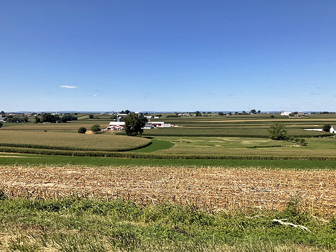 Wide open spaces remind you that sometimes the best entertainment is simply watching clouds drift by.
