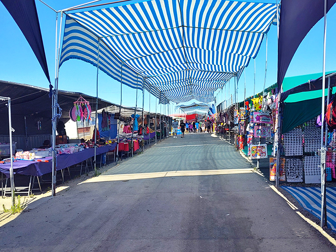 Blue and white striped canopies create a marketplace mirage at Pasco Flea Market, where cultural flavors blend in delicious harmony.