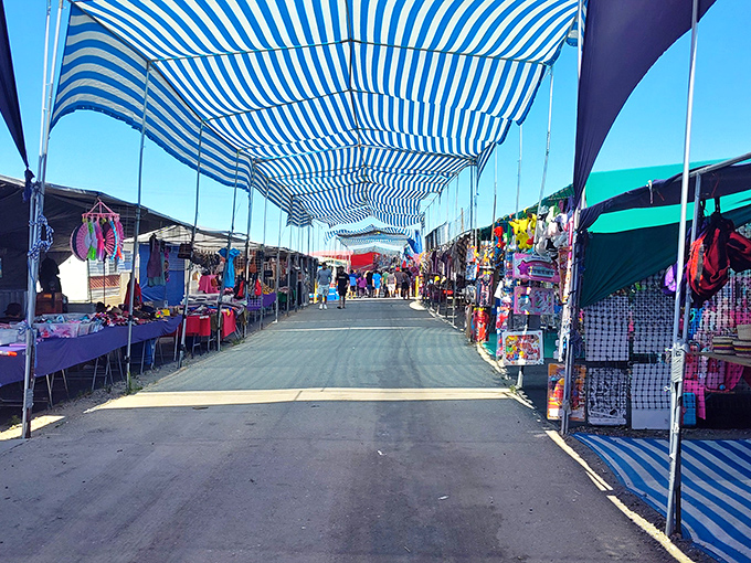 Blue and white awnings create a festive shopping lane where bargains and surprises hide in plain sight.