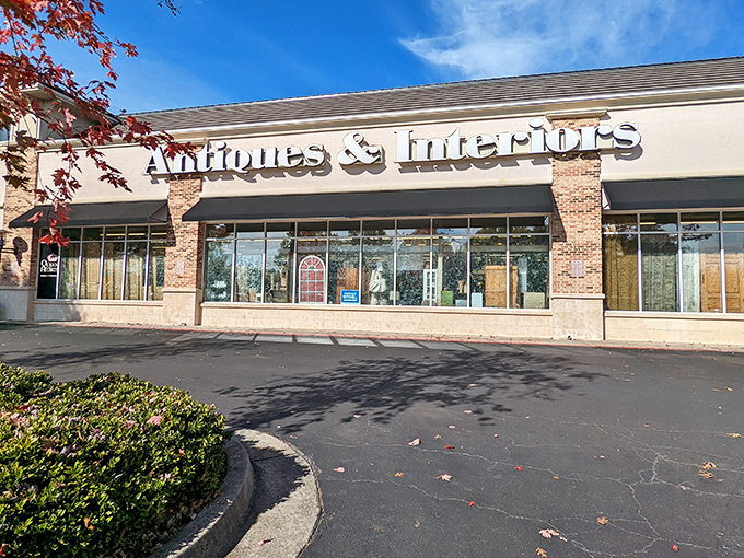 Modern meets vintage in this sophisticated space where every piece deserves a crown and royal recognition.