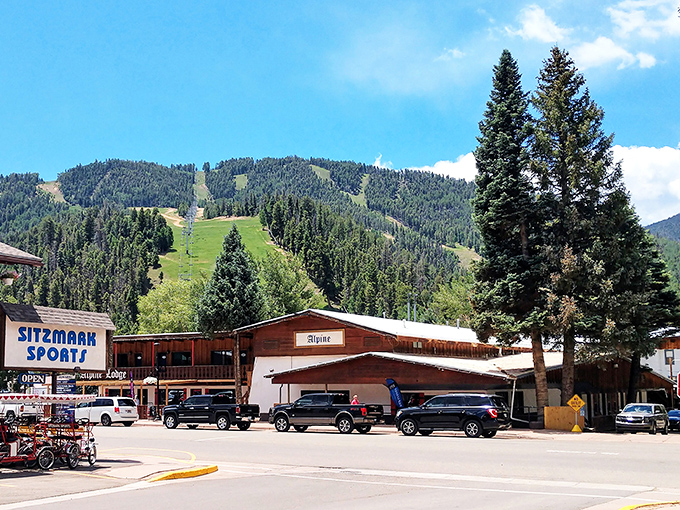 Summer in Red River means blue skies, green slopes, and the promise of adventure waiting just beyond the chairlift.