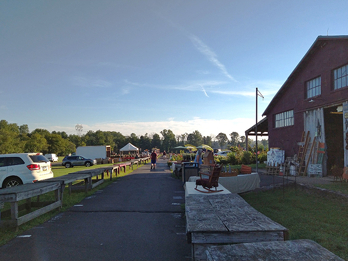 Fresh air shopping at its finest - where every display tells stories waiting for new chapters.