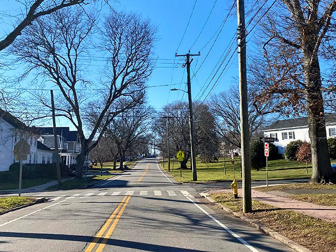 Winter's bare-branched beauty parade on Route 146! This quintessential New England streetscape looks like Norman Rockwell's commute to work.