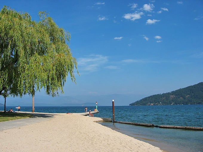 Sandpoint's beach invites you to wiggle your toes in the sand while weeping willows provide shade worthy of a summer romance novel.