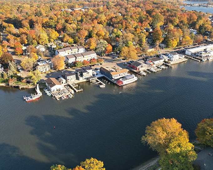 When fall arrives in full costume, even a simple neighborhood stroll becomes a front-row seat to Mother Nature's most spectacular Broadway show.