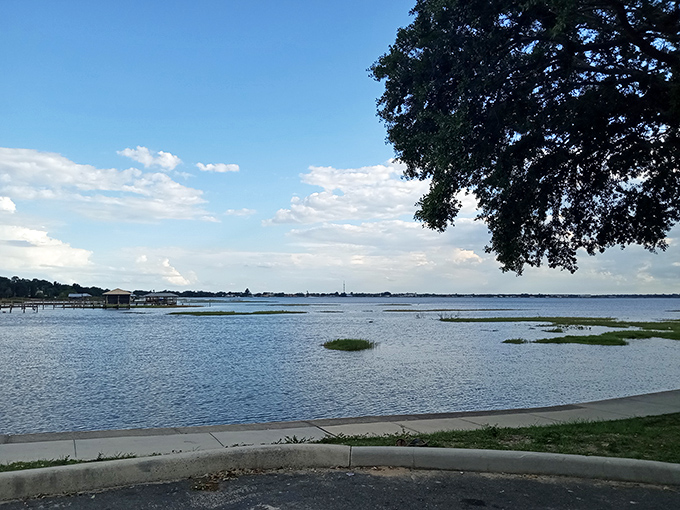 Lake views that stretch to the horizon, offering front-row seats to nature's daily show of changing light and color.
