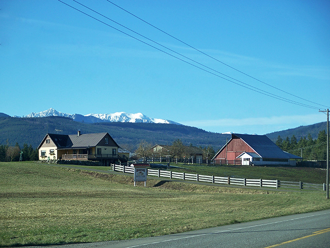 Where lavender fields meet mountain views, creating a postcard that never needs a filter to look perfect.