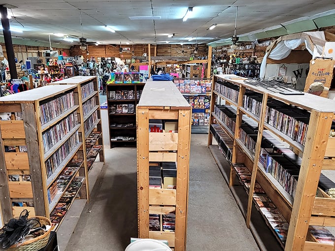 Library-style shelving meets flea market chaos, where alphabetizing takes a permanent vacation and serendipity reigns supreme.
