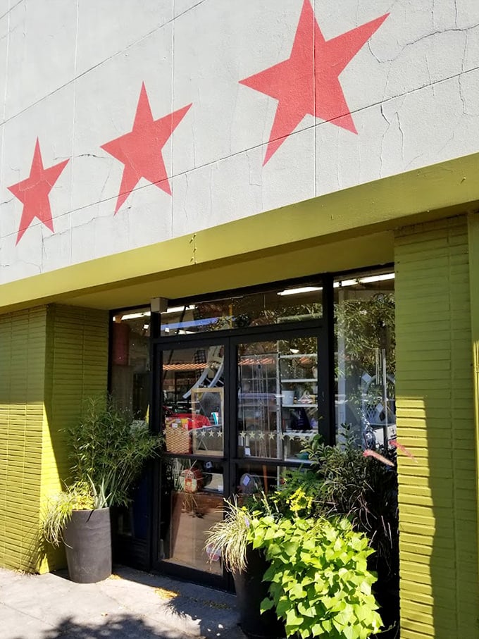 The colorful exterior promises the kind of vintage adventure that makes your heart skip.