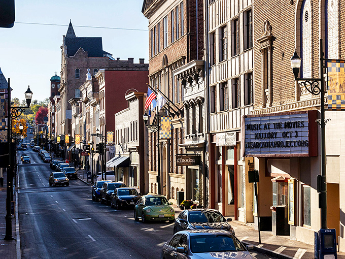 Victorian elegance lines these walkable streets like a living museum that actually welcomes real people. 