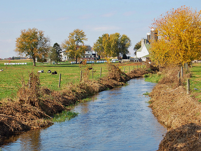 A small creek, the lifeblood of this beautiful farm. It's a perfect landscape, like a Thomas Kinkade painting, but real!