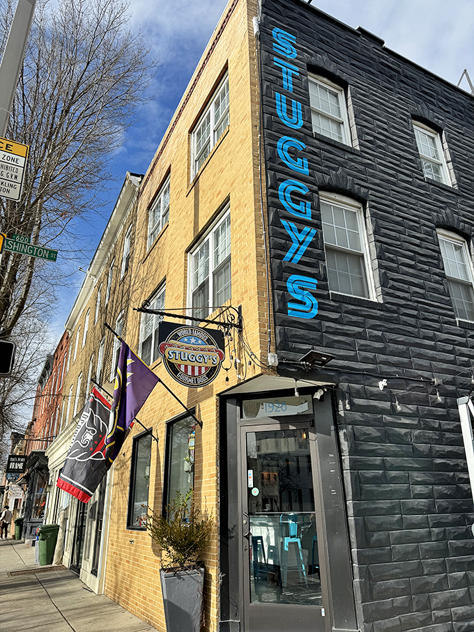 The bold blue "STUGGY'S" sign climbs the building's side, a vertical declaration of hot dog excellence in Baltimore's historic Fells Point.