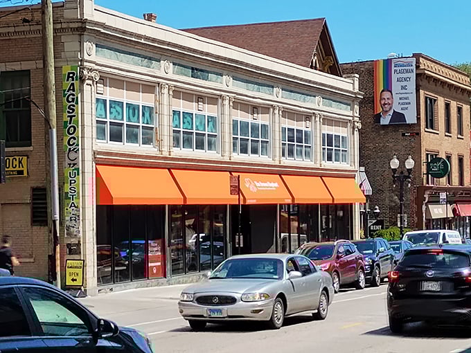 The Brown Elephant's Andersonville location brings that neighborhood charm to serious bargain hunting and treasure discovery