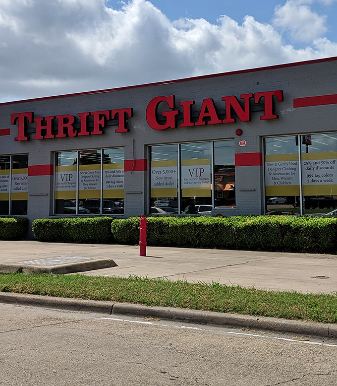 VIP signs fill the windows like Broadway marquees, promising special deals that make smart shoppers feel like royalty on a budget.