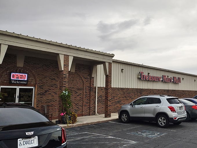 This brick and metal building combination creates the perfect atmosphere for serious vintage treasure hunting.