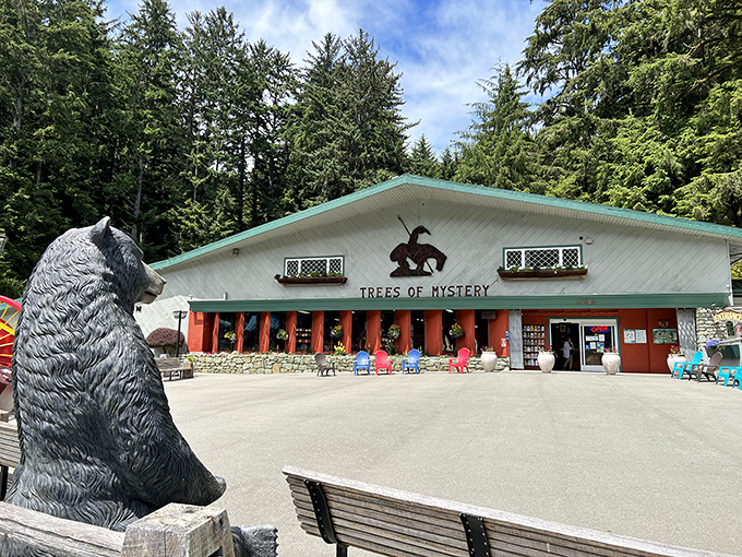 The Trees of Mystery welcome center stands guard at the entrance to a world of towering redwood wonders.