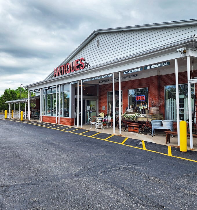 The kind of place where your spouse says "just a quick look" and you end up calling for a pizza delivery three hours later.