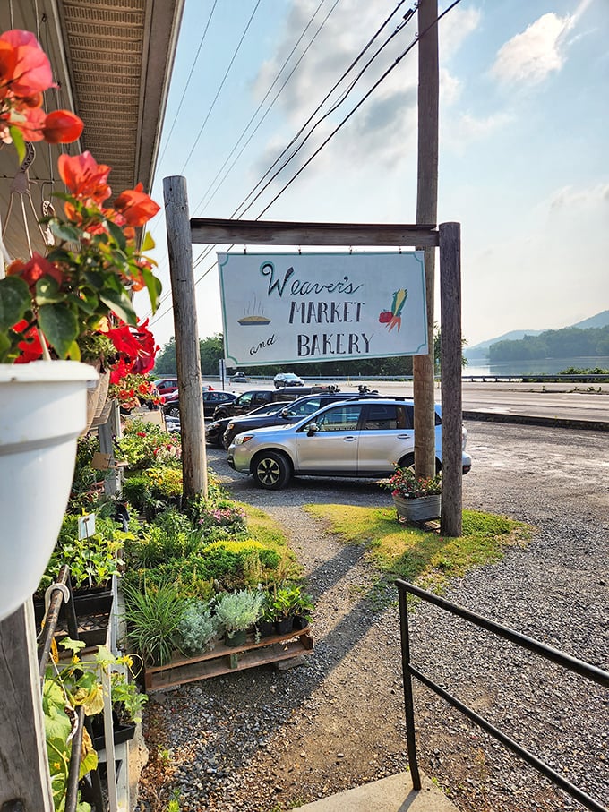 Sometimes the best treasures hide behind the simplest signs - this roadside gem proves that point perfectly.