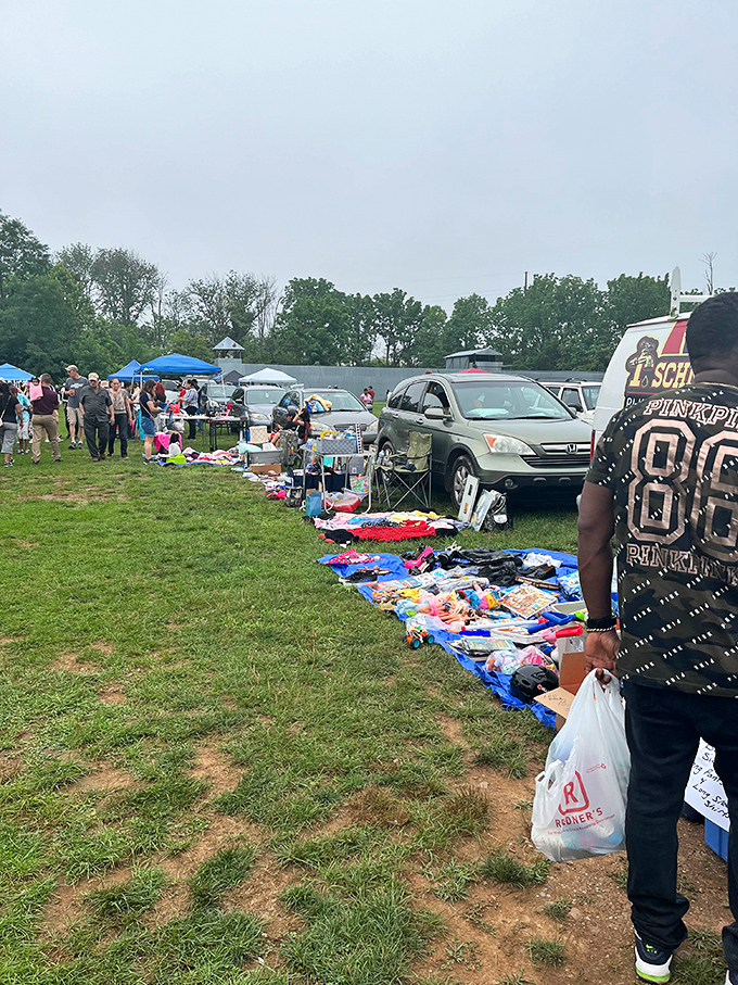 Nature's rainbow for sale. Walking these aisles feels like strolling through a living catalog of possibilities for your garden.
