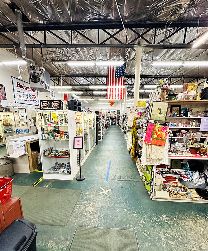 Wide aisles and bright lights make browsing a breeze - no flashlight archaeology required for these discoveries.