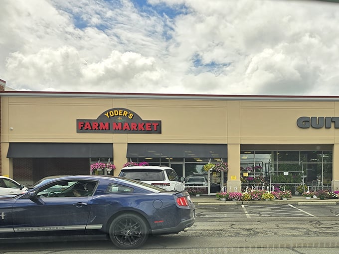 This Heath market proves good things come in cheerful packages, especially when those packages contain homemade pies and fresh cheese.