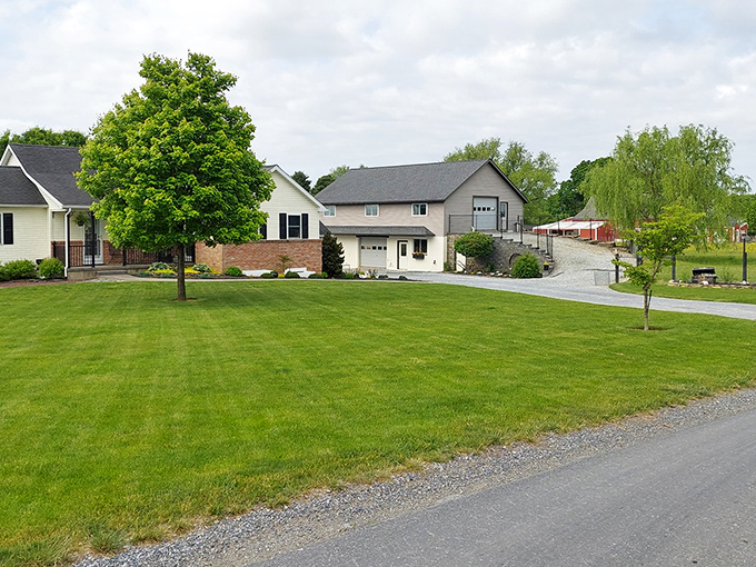 Sometimes the best adventures start with a clip-clop instead of a car engine's roar.