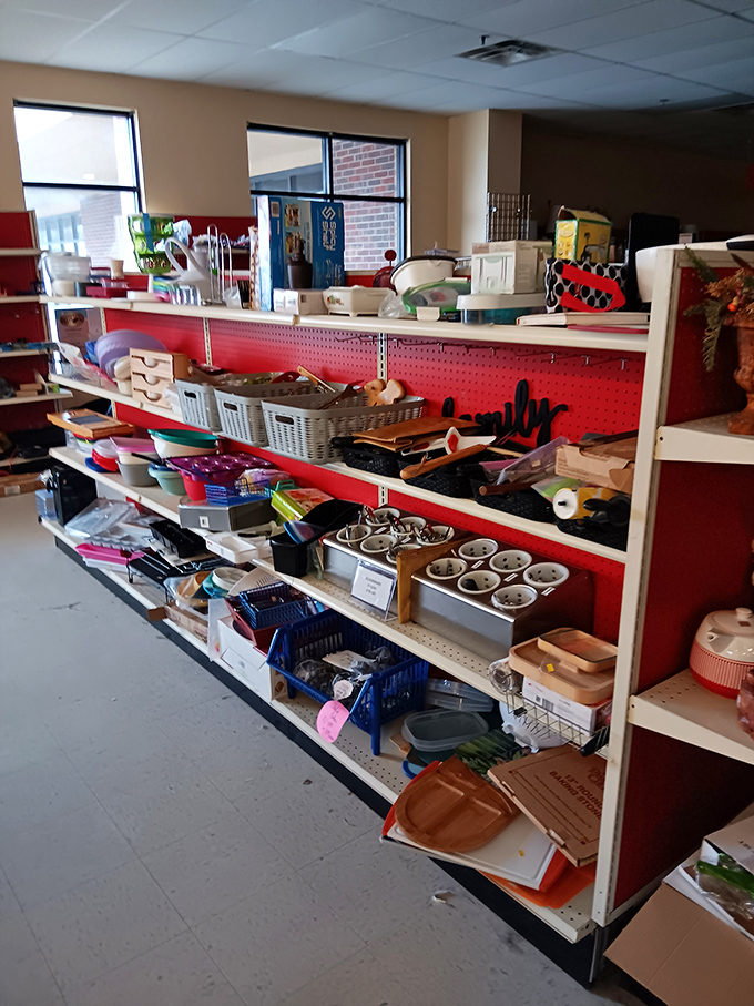 Organized chaos at its finest. Every shelf holds potential DIY projects or that perfect missing piece for your kitchen collection. 